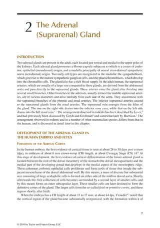 Histologic Basis Of Mouse Endocrine System Development A Comparative ...