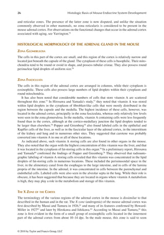 Histologic Basis Of Mouse Endocrine System Development A Comparative ...