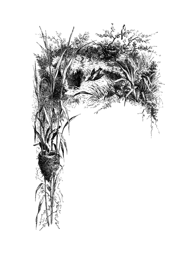 Git Learn Version Control With Git A Stepbystep Ultimate Beginners Guide Hutten | PDF