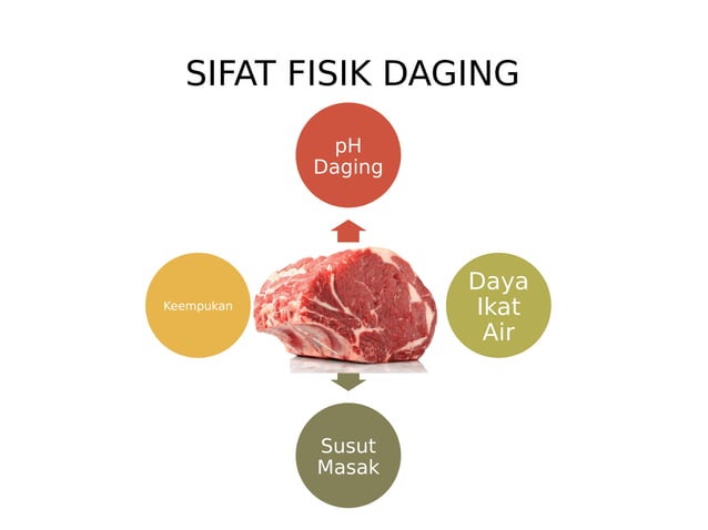 343117921-Pengertian-Dan-Sifat-Fisik-Serta-Kimia-Pada-Daging.pdf