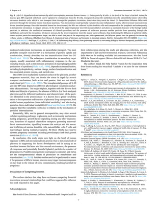 Plasticenta: First evidence of microplastics in human placenta Antonio ...