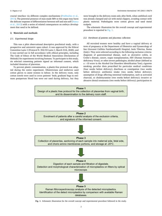 Plasticenta: First evidence of microplastics in human placenta Antonio ...