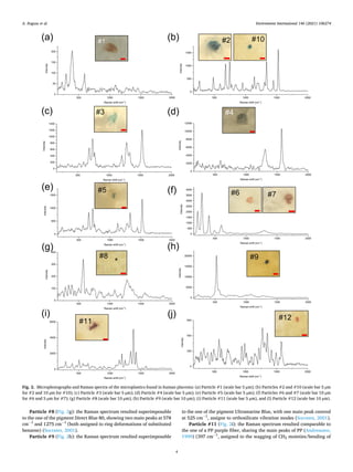 Plasticenta: First evidence of microplastics in human placenta Antonio ...