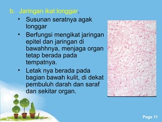 343870248-JARINGAN-IKAT-PPT.pdf