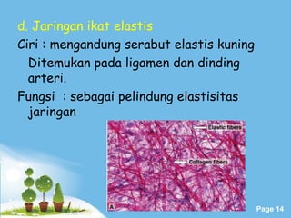343870248-JARINGAN-IKAT-PPT.pdf