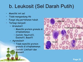 343870248-JARINGAN-IKAT-PPT.pdf