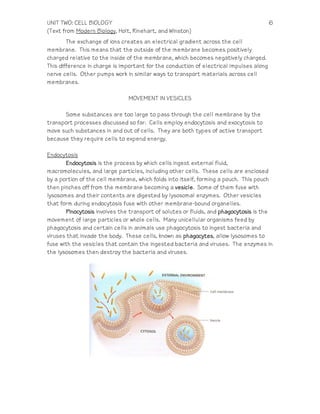 344669 biology-chapter-five-notes | PDF