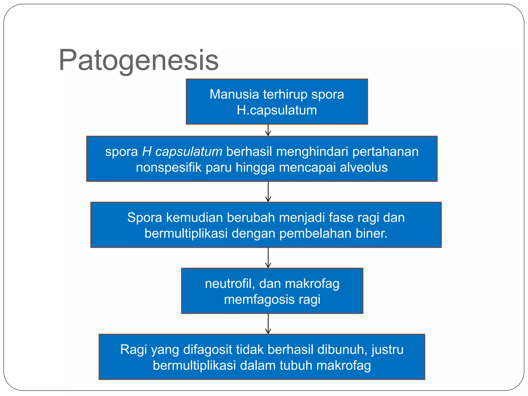 344860663-REFERAT-Mikosis-Paru-Ppt-Gabel.pptx