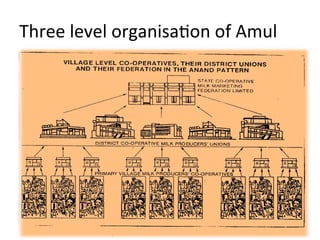 34491013-ratio-analysis-of-amul.pdf
