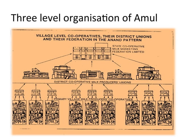 34491013-ratio-analysis-of-amul.pdf | Agriculture | Industries