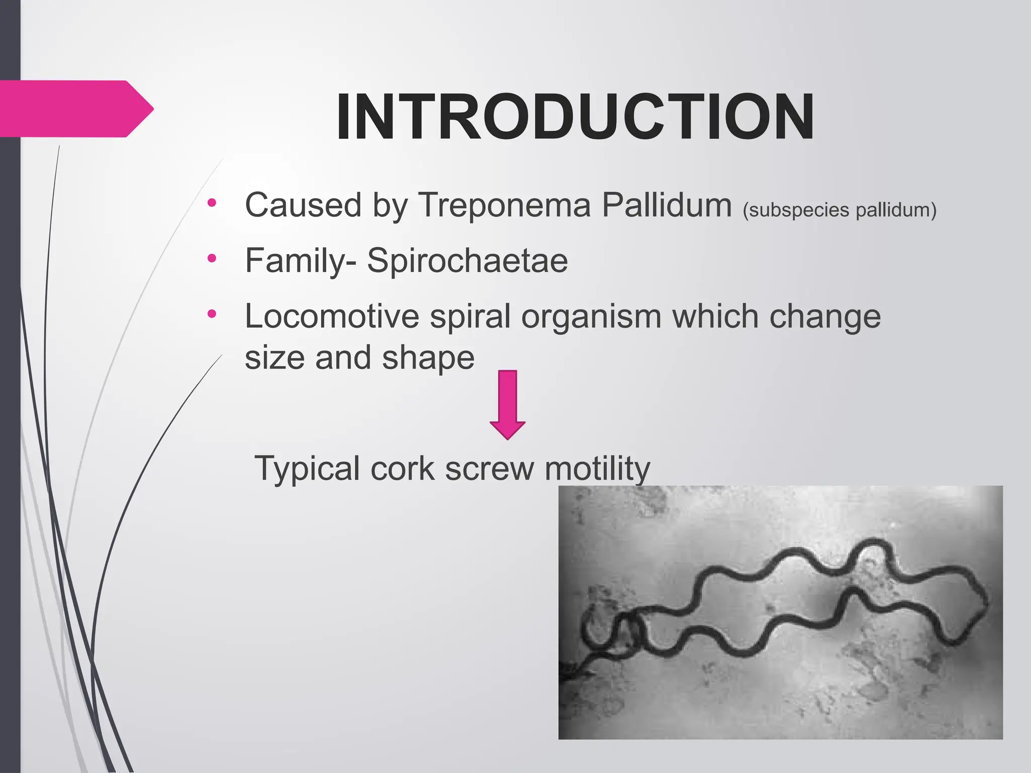 Sexually transmitted infection introduction | PPTX