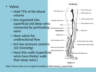 chronic venous insufficiency definition etiology | PPT