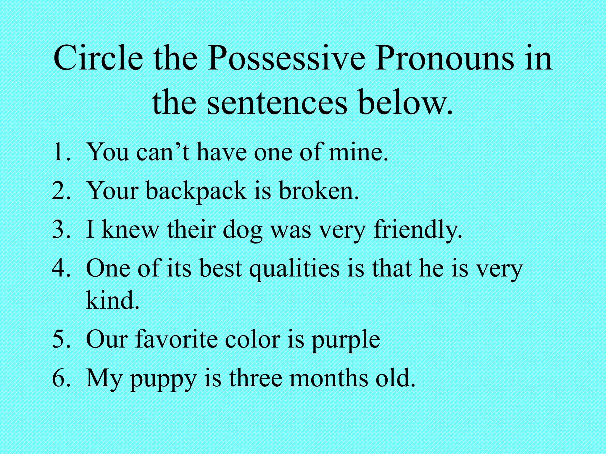 345319090-possessive-pronouns-powerpoint.ppt