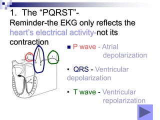 ECG basics ppt | PPT