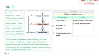 3,4,5 Anterior & posterior pitutary gland (edited).pptx