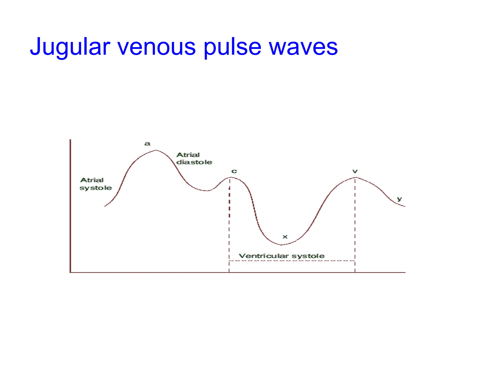 Cardiac Cycle , The cardiac physiology .ppt