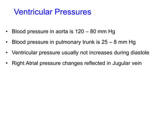 Cardiac Cycle , The cardiac physiology .ppt | Heart and Cardiovascular ...