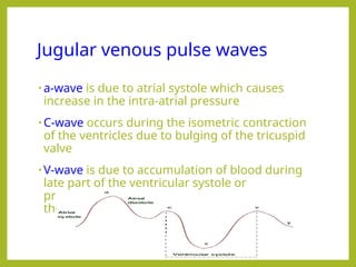cardiac cycle parts full presentation online | PPT
