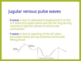 cardiac cycle parts full presentation online | PPT