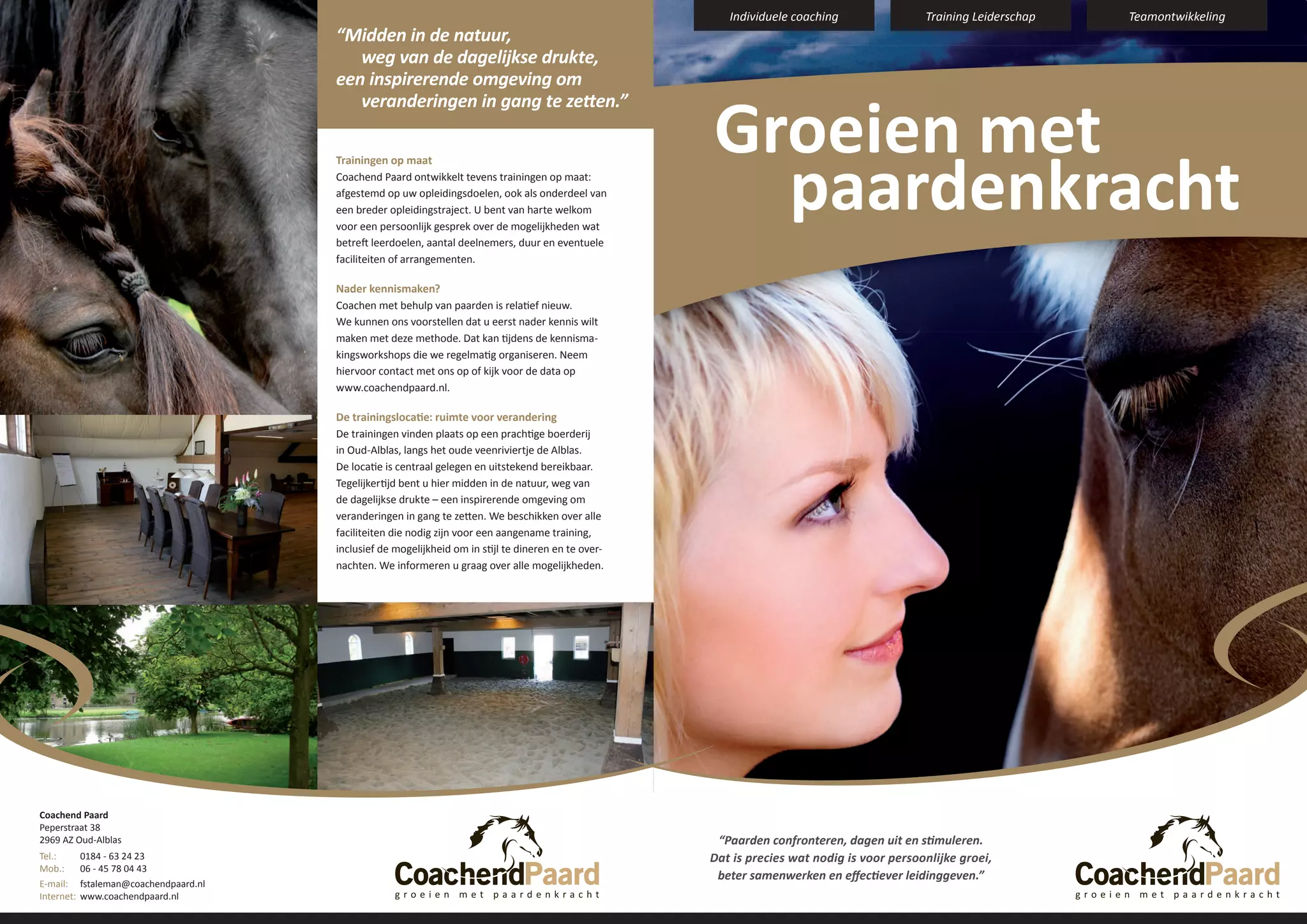 Brochure Coachend Paard | PDF