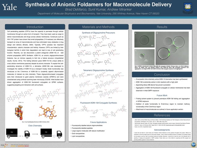 Brad_Poster_Final_Draft | PPT