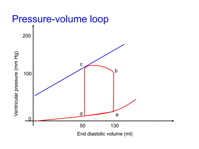 Cardiac cycle - Pumping of blood across the atrio ventricular systems | PPT