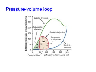 Cardiac cycle - Pumping of blood across the atrio ventricular systems | PPT