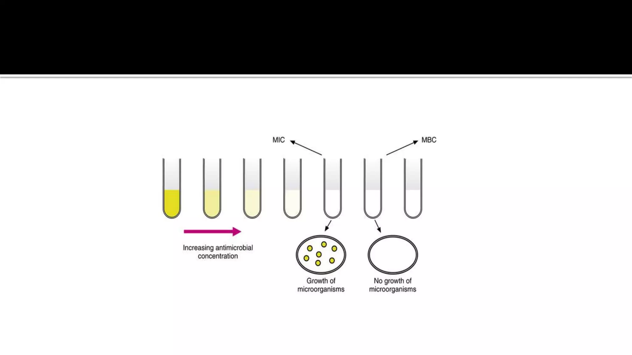 Minimum Bactericidal Concentration | PPTX