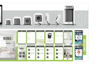 NOMAD_PROCESS(Small) | PPT