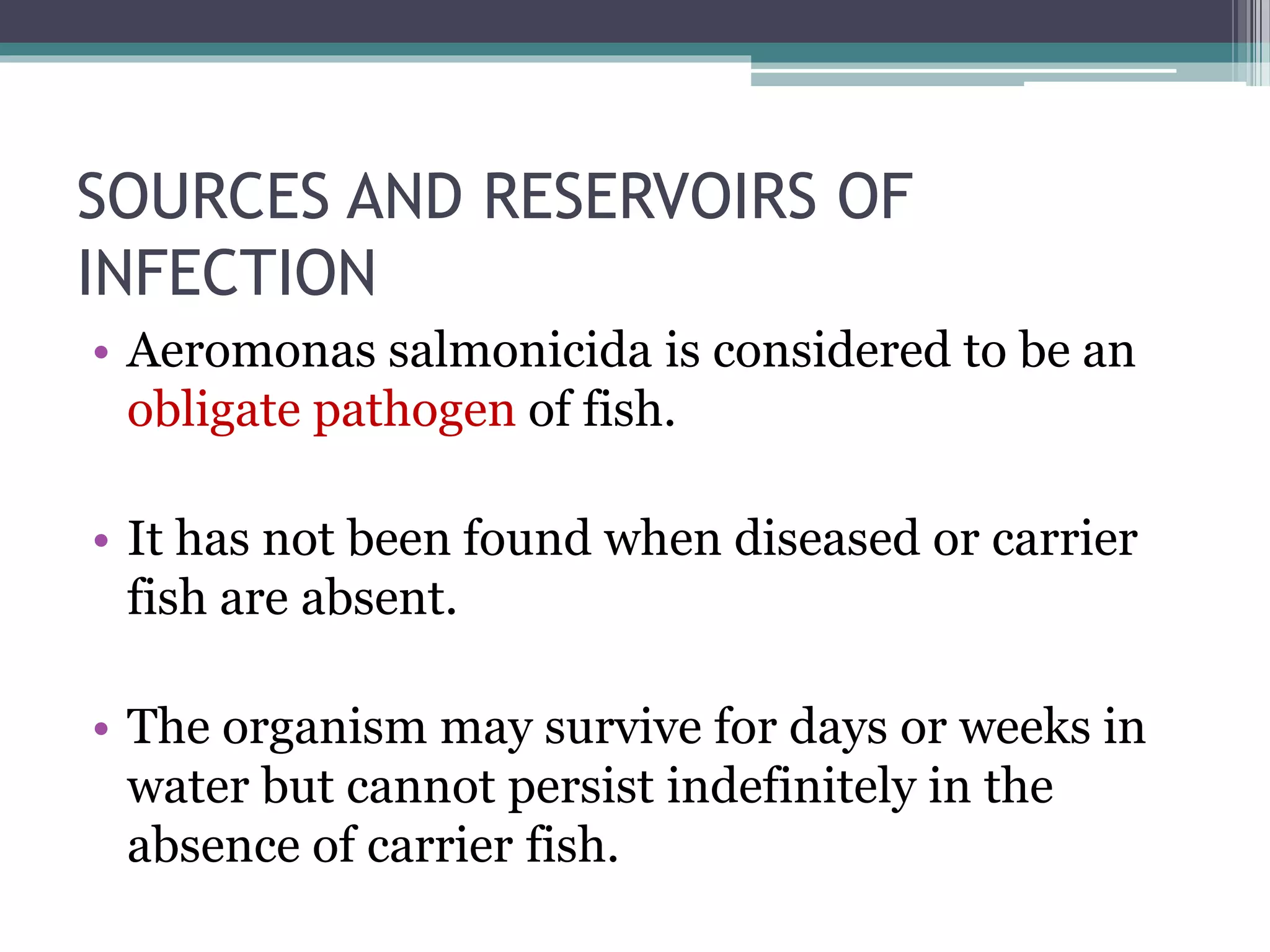 Aeromonas salmonicida | PPTX