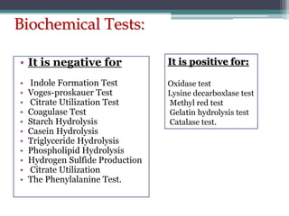 Aeromonas salmonicida | PPT