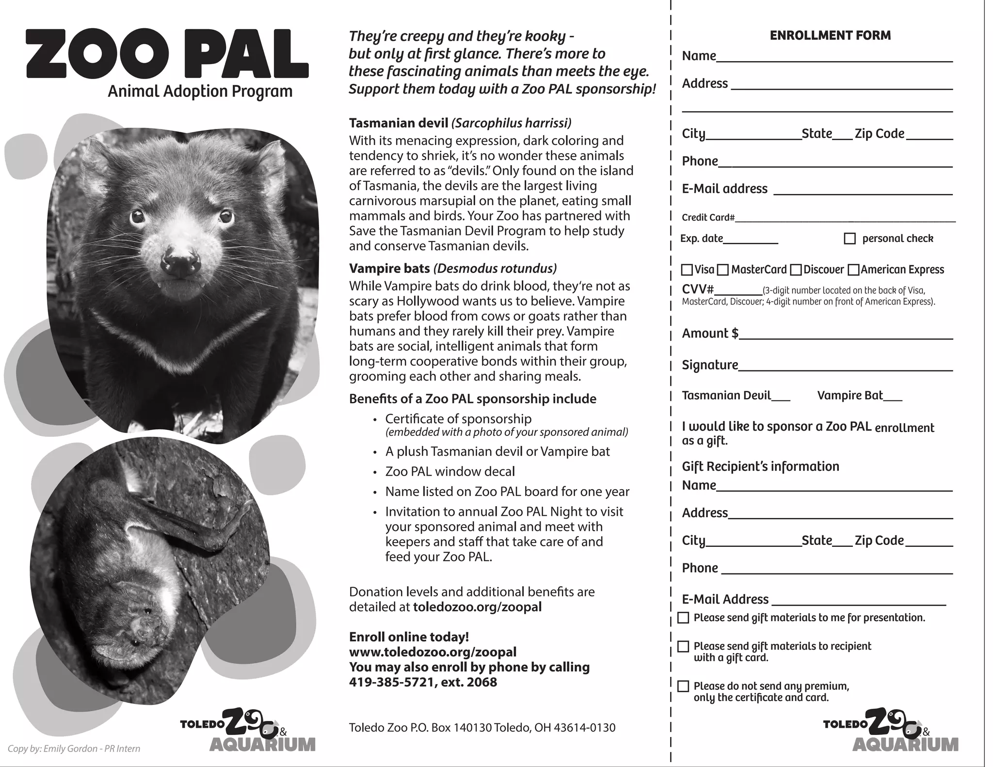 Zoo PAL Fall 2015 | PDF | Credit Cards | Personal Debt