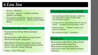 347869624-Nematoda-Usus-Dan-Jaringan-Kelompok-Vi-Ppt.pptx