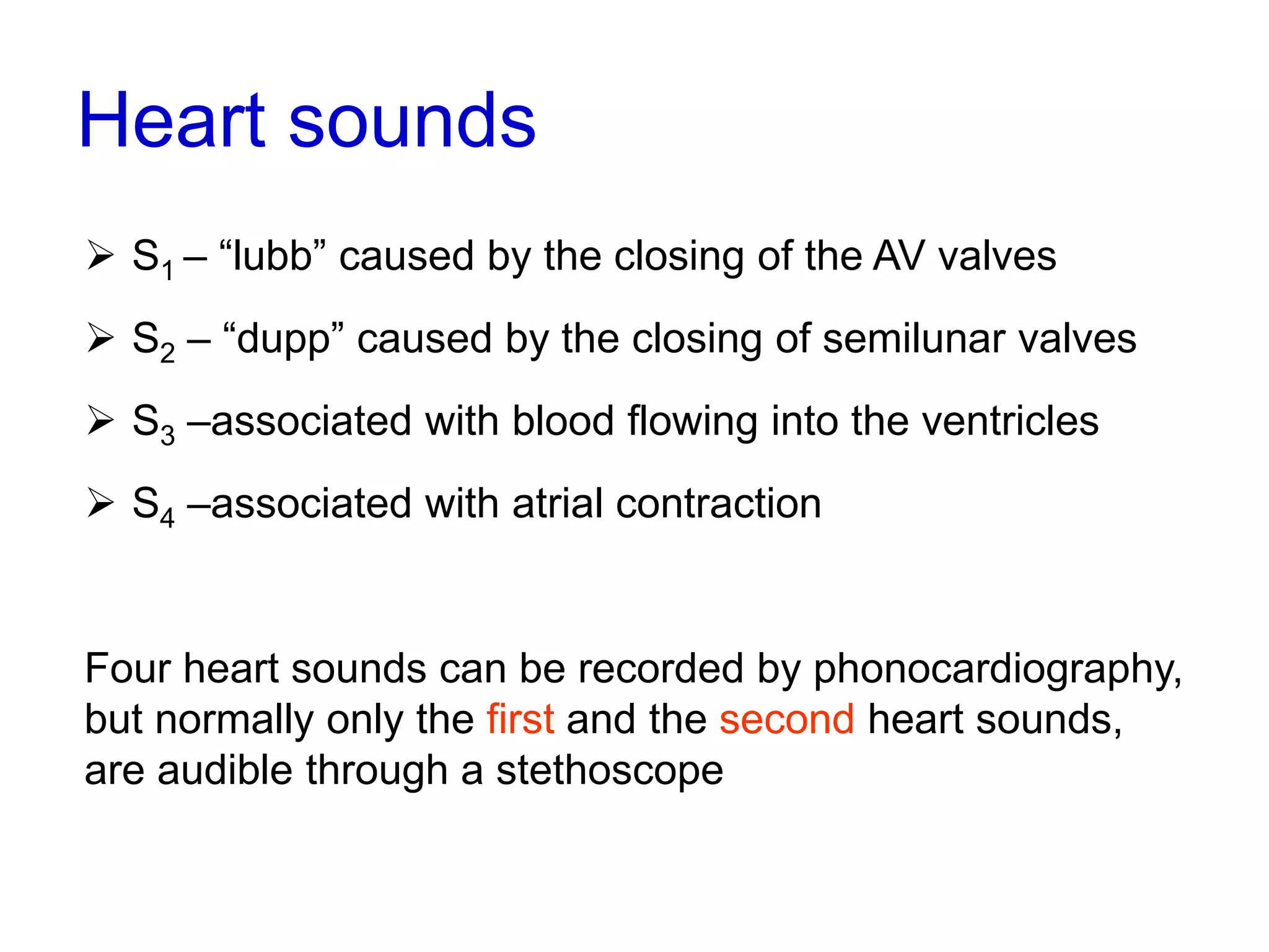 347_heart_sounds_&_murmurs.ppt