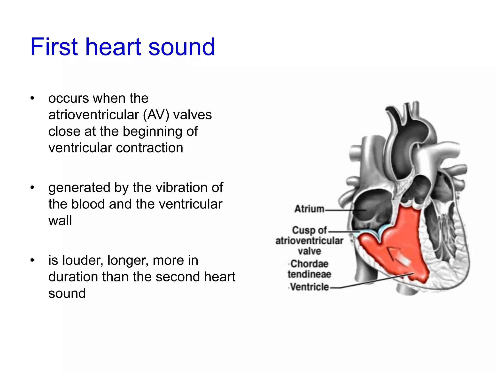 347_heart_sounds_&_murmurs.ppt