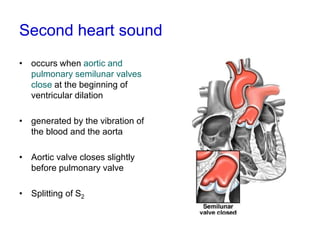347_heart_sounds_&_murmurs.ppt