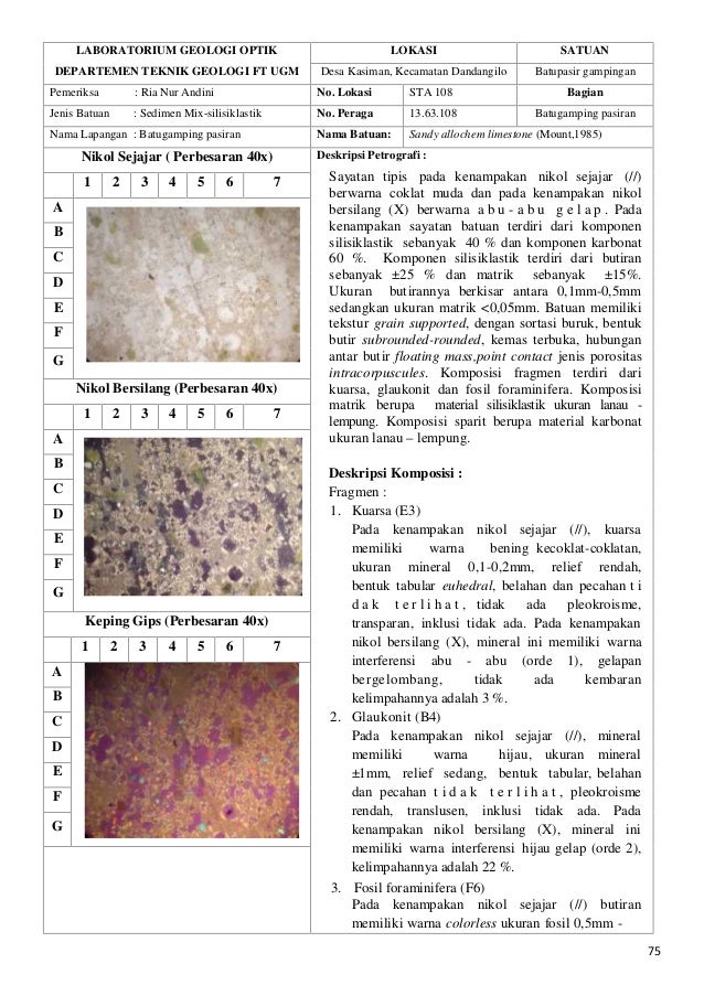 348065602-Deskripsi-Petrografi-Sta-71 (1).pdf