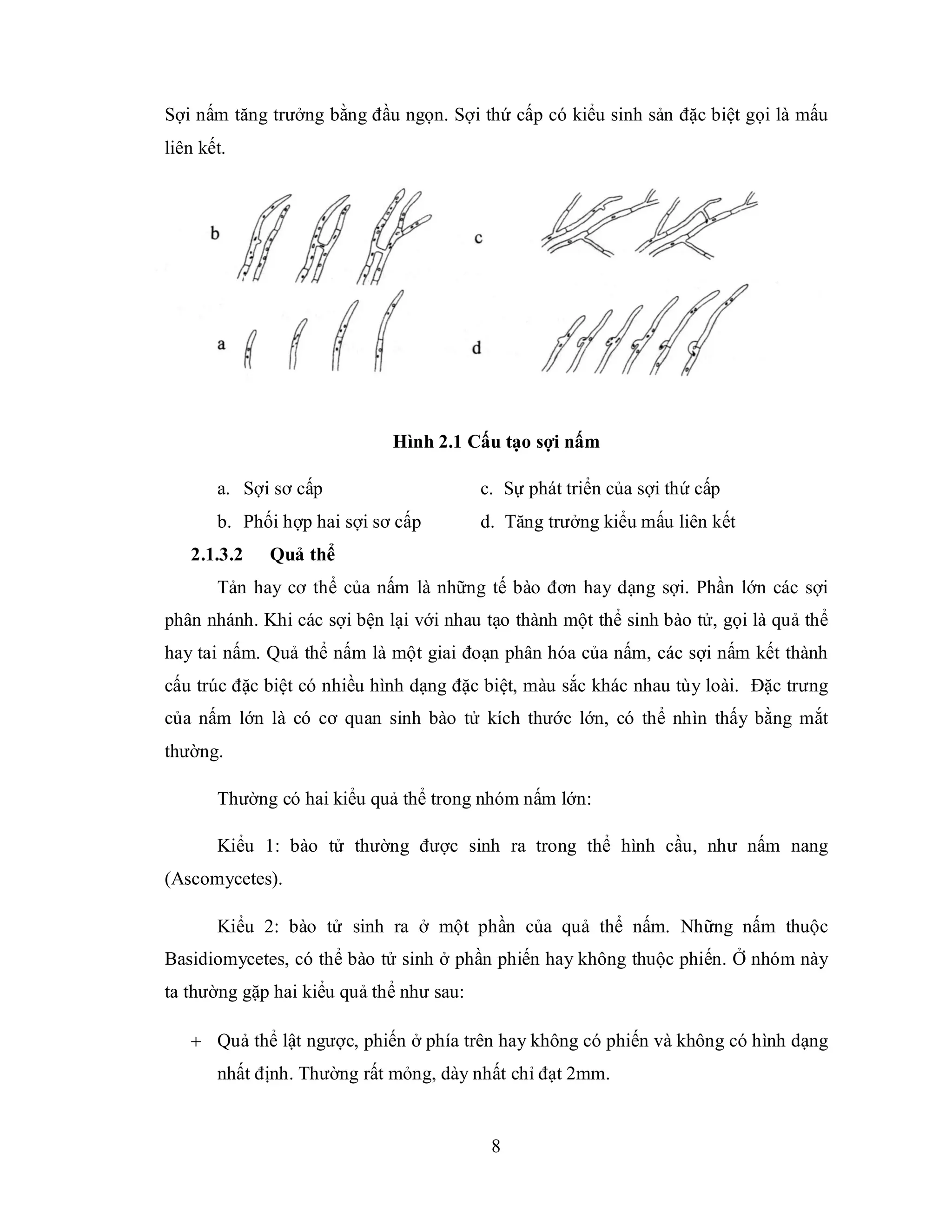 Khảo Sát Sự Sinh Trưởng Và Phát Triển Của Nấm Bào Ngư Pleurotus Sajor ...