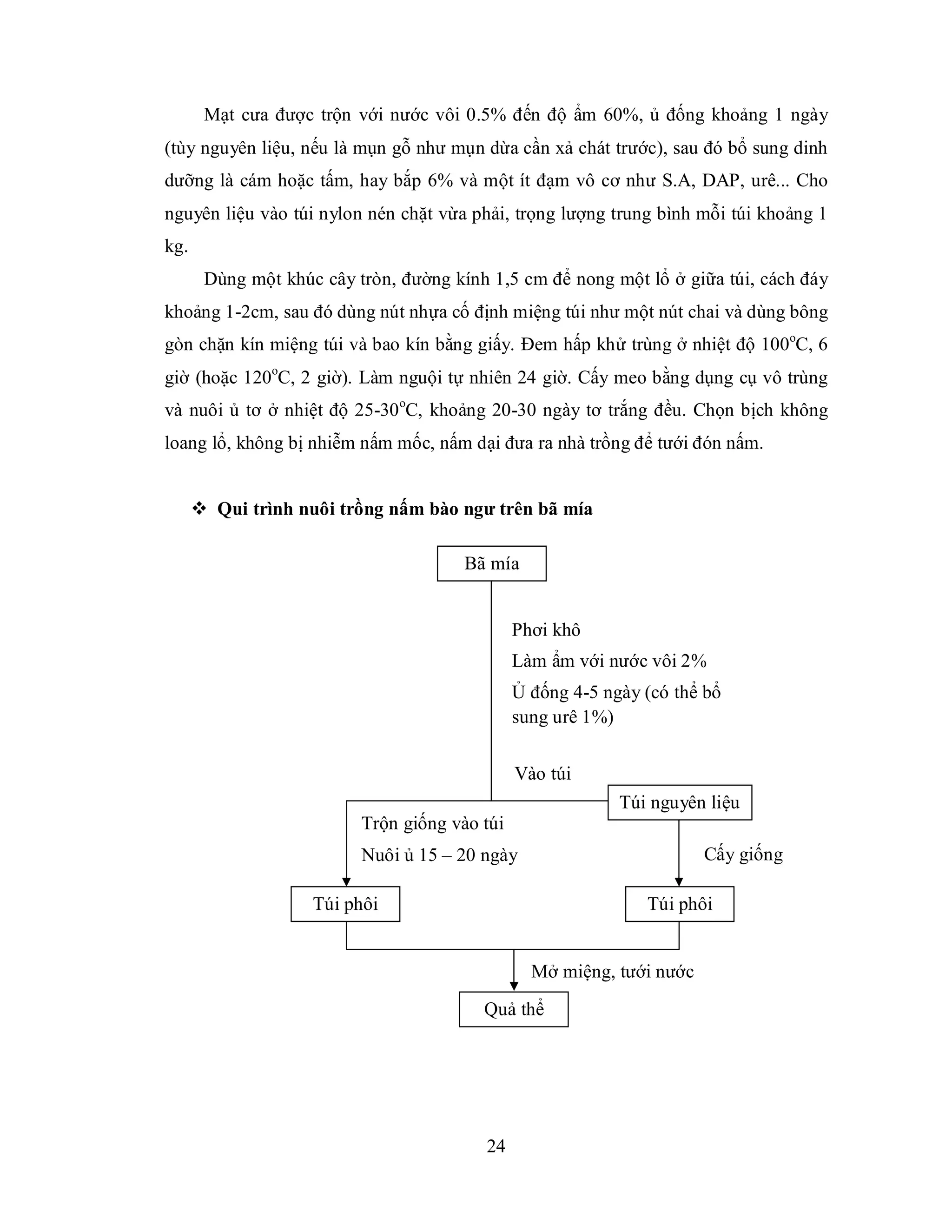 Khảo Sát Sự Sinh Trưởng Và Phát Triển Của Nấm Bào Ngư Pleurotus Sajor ...