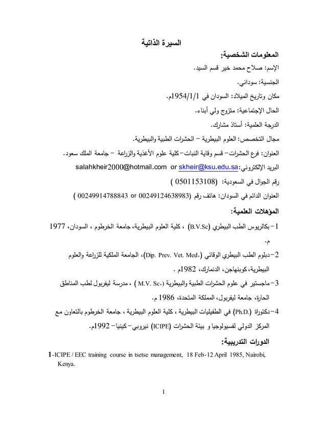 Arabic CV | PDF
