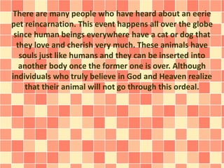 Learning The Truth About Pet Reincarnation | PPTX