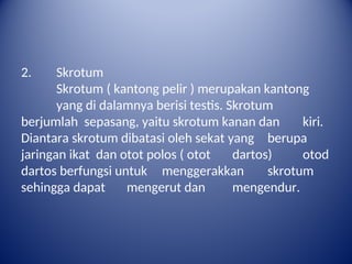 349580222-ANATOMI-ORGAN-REPRODUKSI-PRIA-ppt (1).ppt