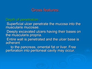 lecture note on Peptic ulcer pathophysiology .ppt