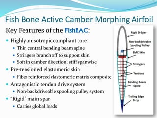 SU Compliant Morphing Overview 2 | PPT