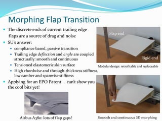 SU Compliant Morphing Overview 2 | PPT