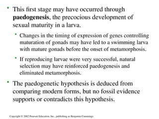 MSc zoology 34A-InvtbChrdtsOrgnVrtbrts.ppt