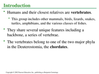 MSc zoology 34A-InvtbChrdtsOrgnVrtbrts.ppt