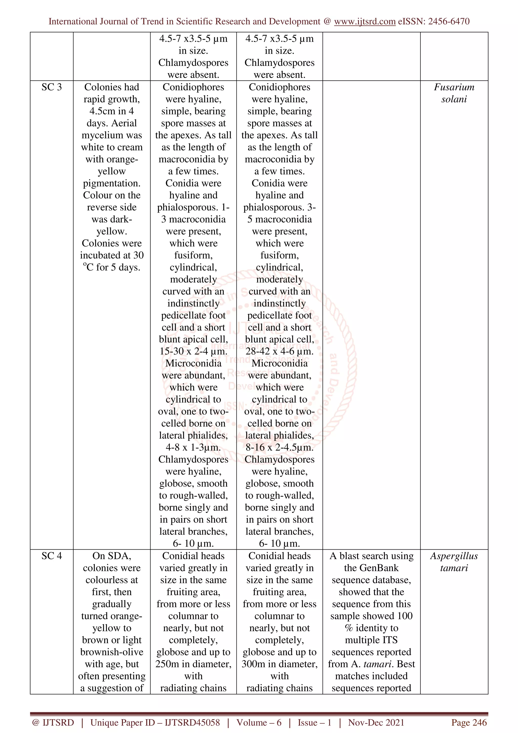 An Improved Slide Culture Technique for the Microscopic Identification ...