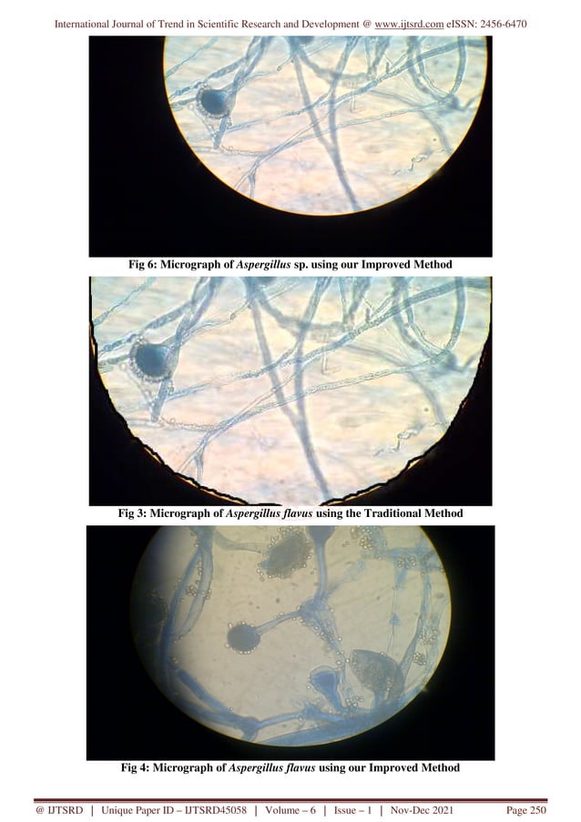 An Improved Slide Culture Technique for the Microscopic Identification ...
