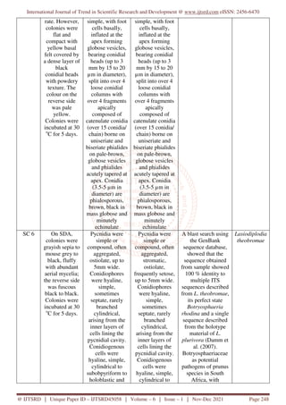 An Improved Slide Culture Technique for the Microscopic Identification ...
